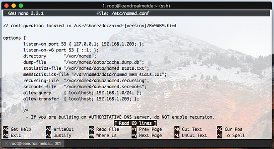 DNS Server with Webmin | by Leandro Almeida | Medium