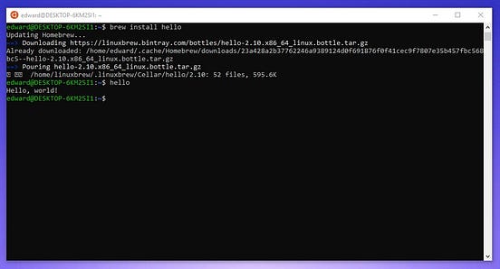 Using Brew on Windows 10 with Windows Subsystem for Linux (WSL) | by Edward Baeg | Medium