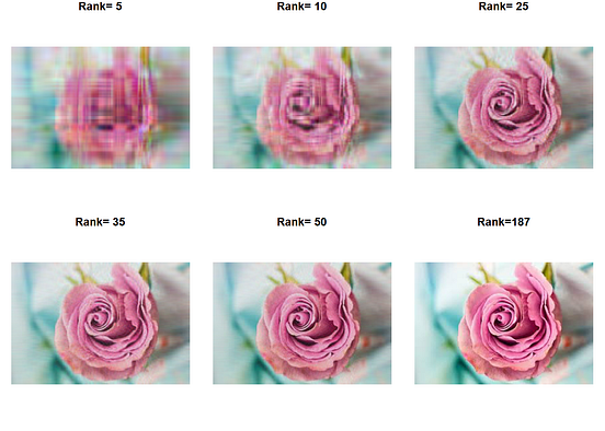 Image Compression Using SVD. This document contains a guide on image… | by Himank Jain | Medium
