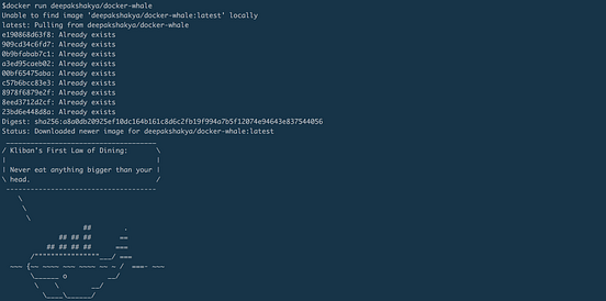Beginner’s guide to use docker (Build, Run, Push and Pull) | by Deepak Shakya | Medium