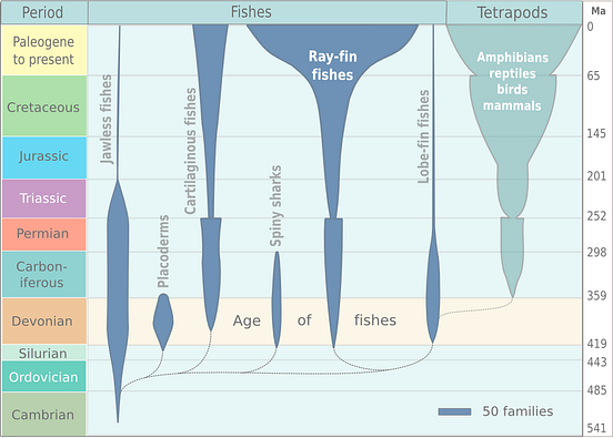 How Life Made The Extraordinary Transition From Water To Land | by Cody ...