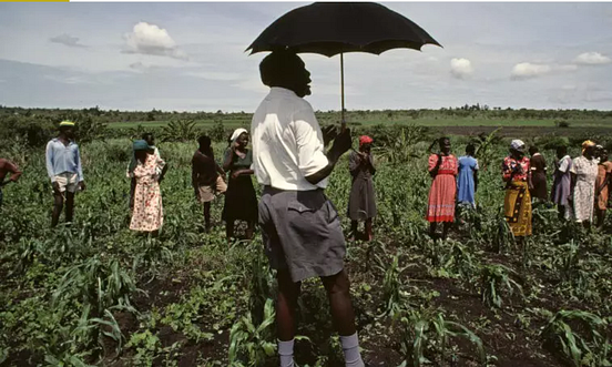 Why Luos Married(s) Many Wives: Understanding Polygamy in African ...