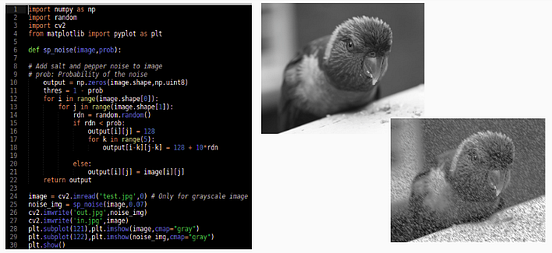 Noise in Digital Image Processing | by Anisha Swain | Image Vision | Medium