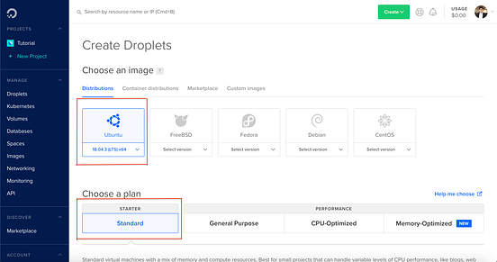 Deploy a NodeJS and ExpressJS App on Digital Ocean with NGINX and Free SSL | by Abdullah Amin ...