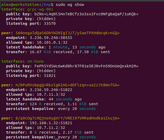 How To Enable Zero Trust Access To Your Hosted Services Using Netmaker And Wireguard Medium