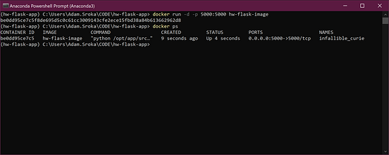 Docker for data scientists — Part 1 | by Adam Sroka | Towards Data Science