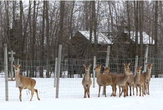 Primary Reasons Why You Should Visit The Zoo In Ottawa | by The ...