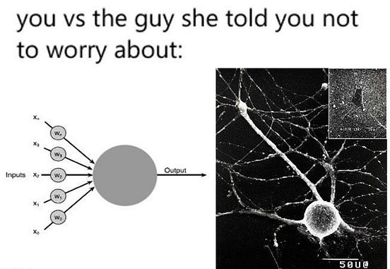 Understanding Machine Learning through Memes | by Harsh Aryan | Nybles ...