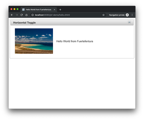 Create a Primefaces JSF project with Maven and Wildfly | by David Dal ...