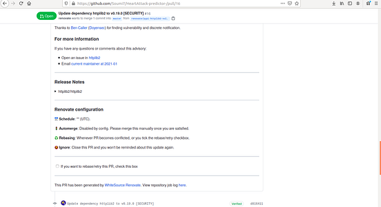 Scanning private and public Github Repositories — WhiteSource Renovate ...