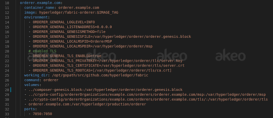 Step by Step Guide to Set up Hyperledger Fabric Network | by Puneet Kumar | Akeo | Medium