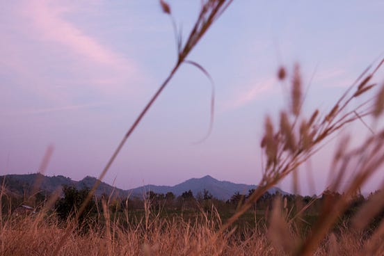 sawadika. The Thai greeting referred to as the… | by Jordan Memmel | Medium