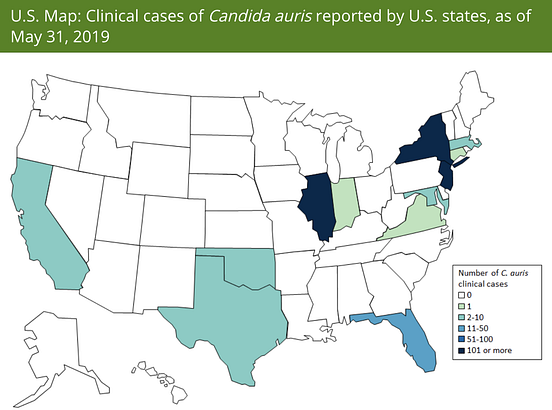 There’s a Fungus Among Us — And It’s Deadly. | by Nexus Media | Nexus ...