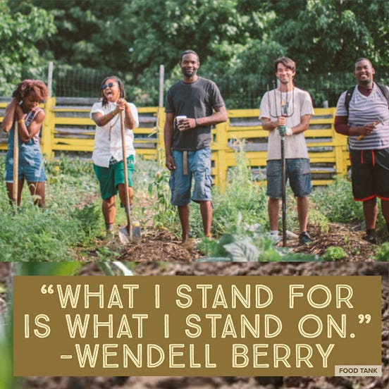 HOW TO GROW A LOCAL FOOD WEB. CAN WE BUILD A LOCAL FOOD WEB TO… | by ...