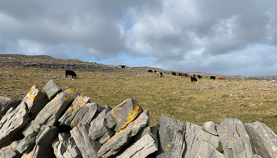 Magical Adventure on The Aran Islands | by Patrick Duane | The Gist ...