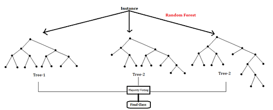 Bootstrap Aggregating and Random Forest Model | by Asad Ashraf Karel | Nerd For Tech | Medium