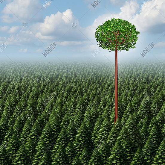 Anomaly Detection by Isolation Forest Algorithm | by Stuti Singh | Medium