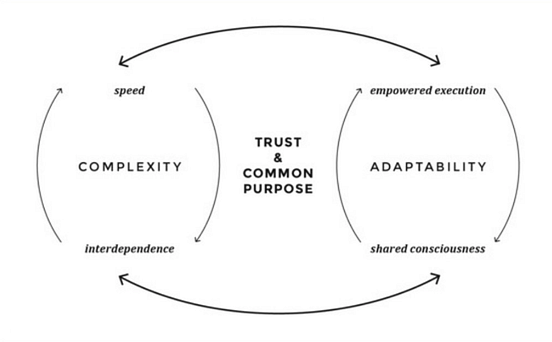 Team Learning — accelerating learning & amplifying resilience | by Nino ...