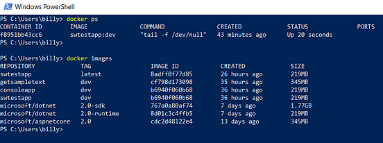 Getting Started With Asp Core Console Application And Docker Container By Billy Delgado