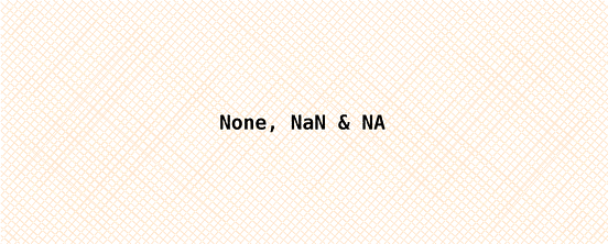 NaN, None and Experimental NA. Illustrated missing values conventions ...