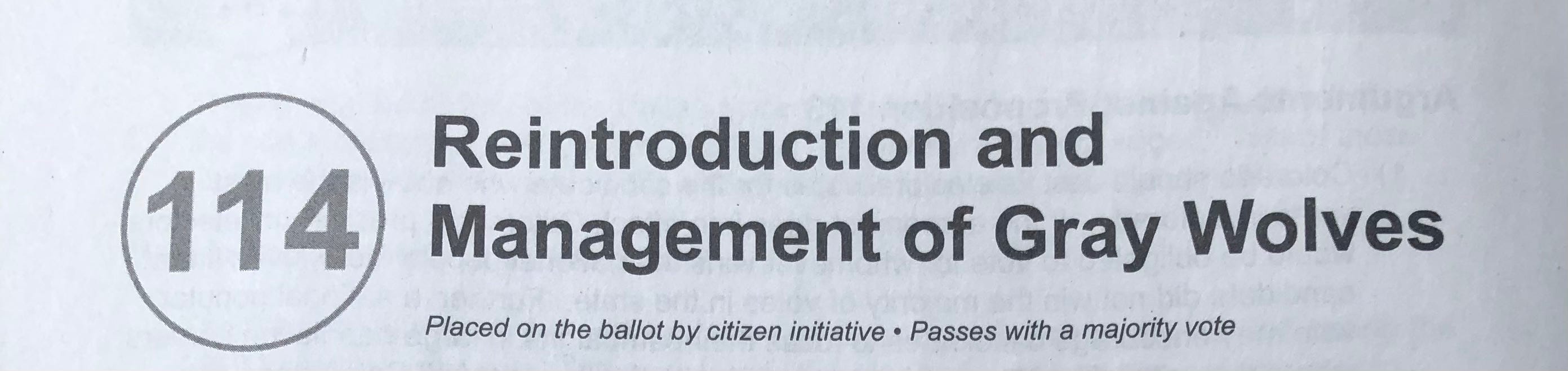 Gray Wolf Success Needs You, Colorado | by Connor McHugh | FoCo Now ...