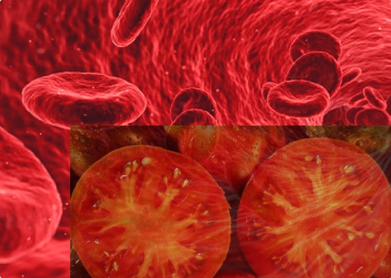 Bloody tomato. What you’d better know about the red… | by Valentina ...