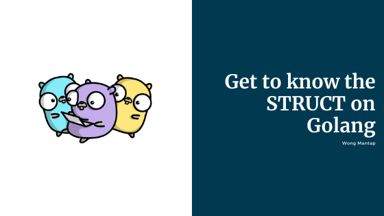Golang Get To Know More About Struct On Golang By Amiruddin Saddam Learning About Golang