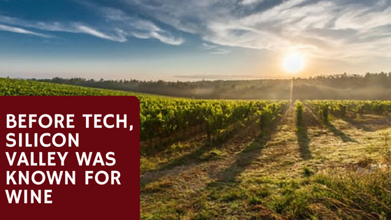 Before Tech, Silicon Valley was Known for Wine | by Will Slota | Medium