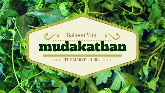 Mudakathan, The Marvel Herb. Ayurveda is the oldest discipline of… | by ...