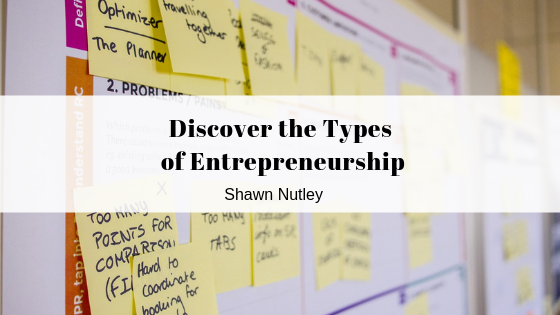 Discover the Types of Entrepreneurship | by Shawn Nutley | Medium