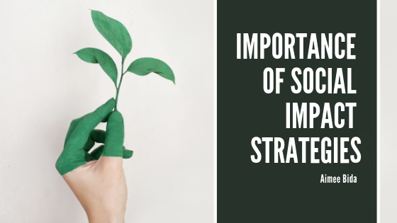 Importance of Social Impact Strategies | by Aimee Bida | Medium