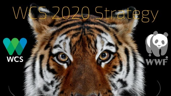 WCS’ 2020 Strategy. “Never before have we faced such a need… | by ...