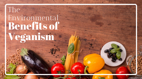 The Environmental Benefits of Veganism | by Lisamarie Bourke | Medium