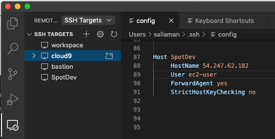 Remote Developing with VSCode on AWS Cloud9 EC2 Instance