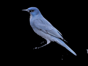 Color Segmentation using OpenCV. Back in the September of 2019, one of ...