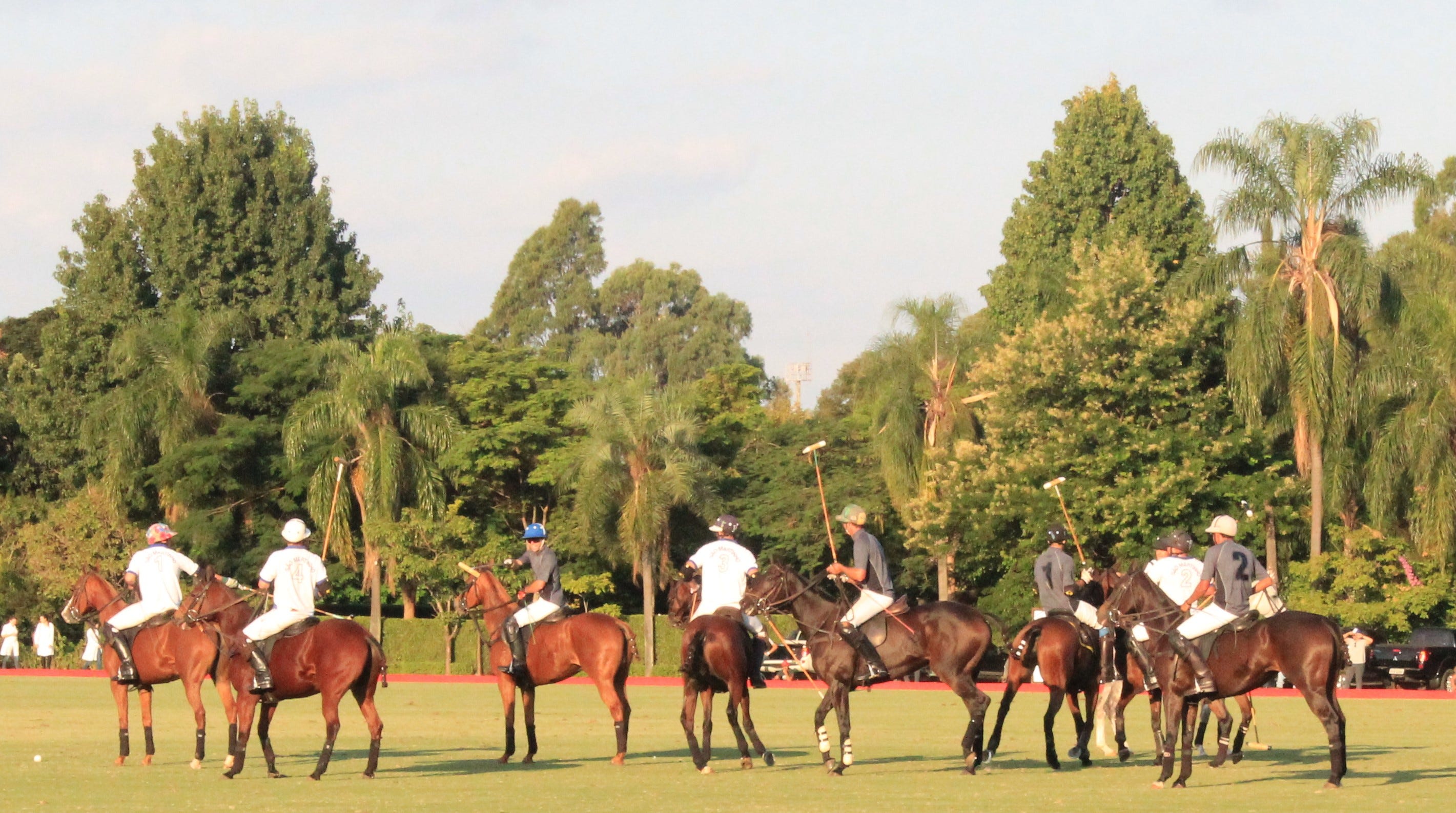 Um olhar para o Polo. Esporte pouco praticado no mundo é um… | by Renê ...