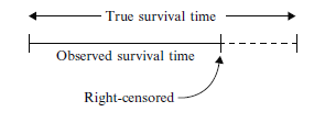 Log Rank Test, Kaplan Meier Survival Curve (Python Code) | by Elena ...