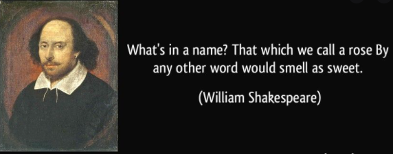 Named Entity Recognition Using Deep Learningelmo Embedding Bi Lstm By Subham Sarkar