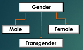 Different Data Type used in Statistics | by Nitesh Pandey | Medium