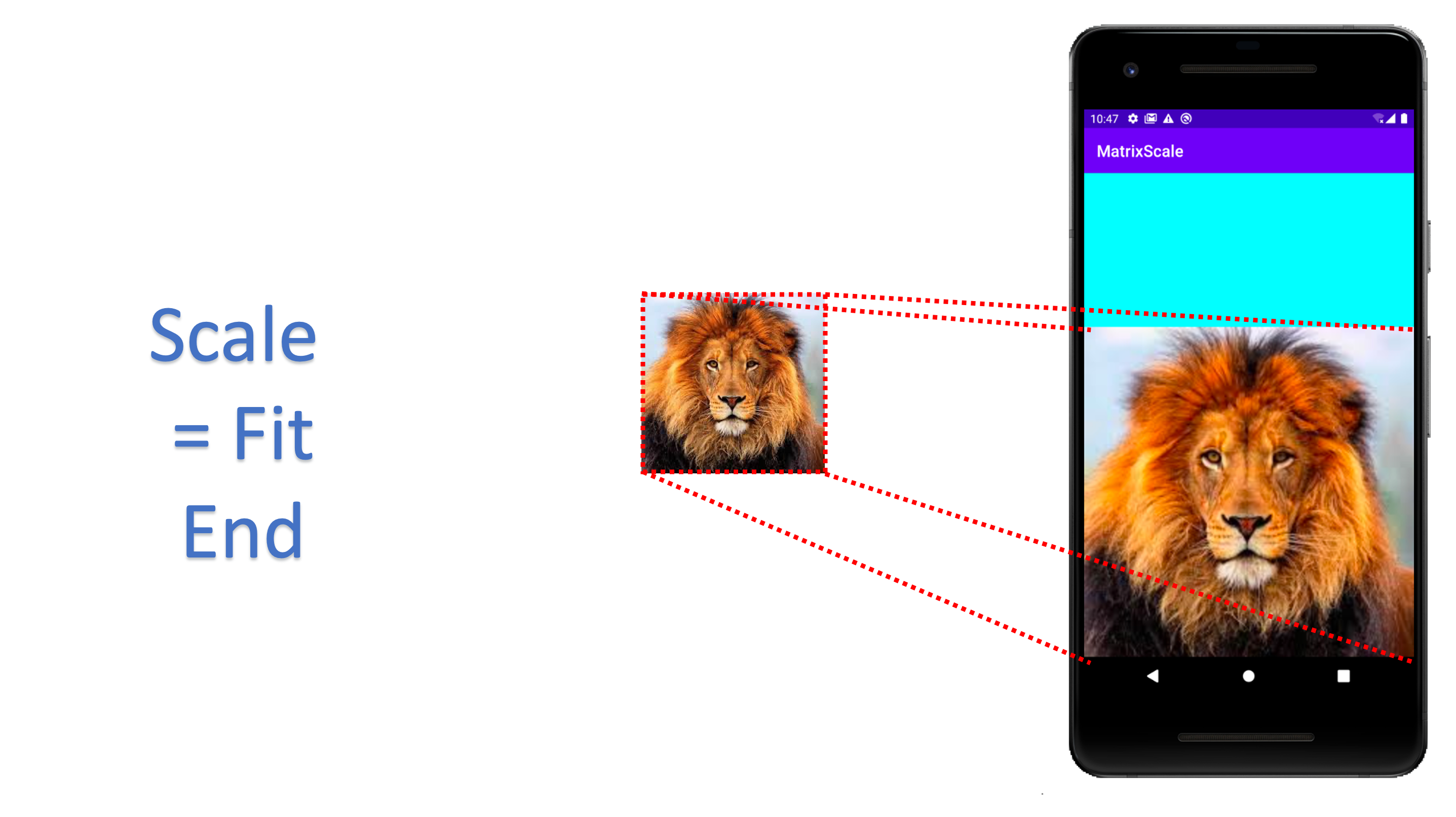 Android ImageView ScaleType Fully Illustrated | by Elye | Mobile App Development Publication ...
