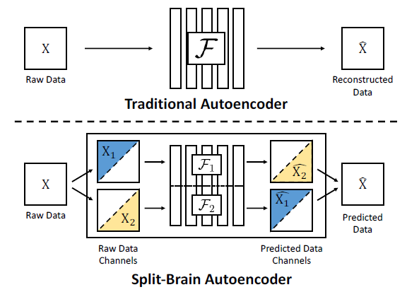 Review — Split-Brain Autoencoders: Unsupervised Learning by Cross-Channel Prediction | by Sik-Ho ...