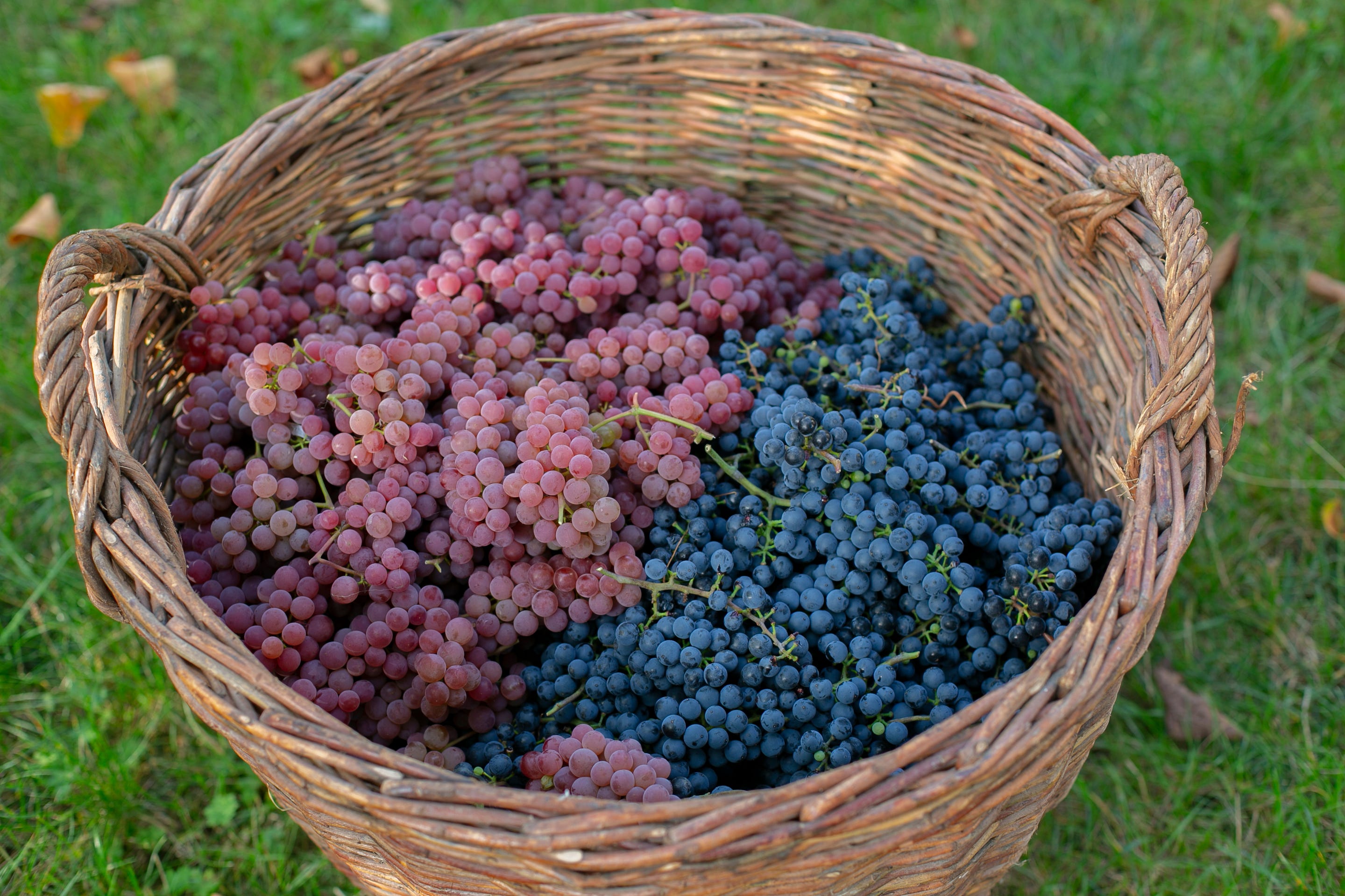 Binary Classifiers Applied to Marketing (Part 2) | by Kiko Rul·lan | DataSparQ Technology | Feb ...