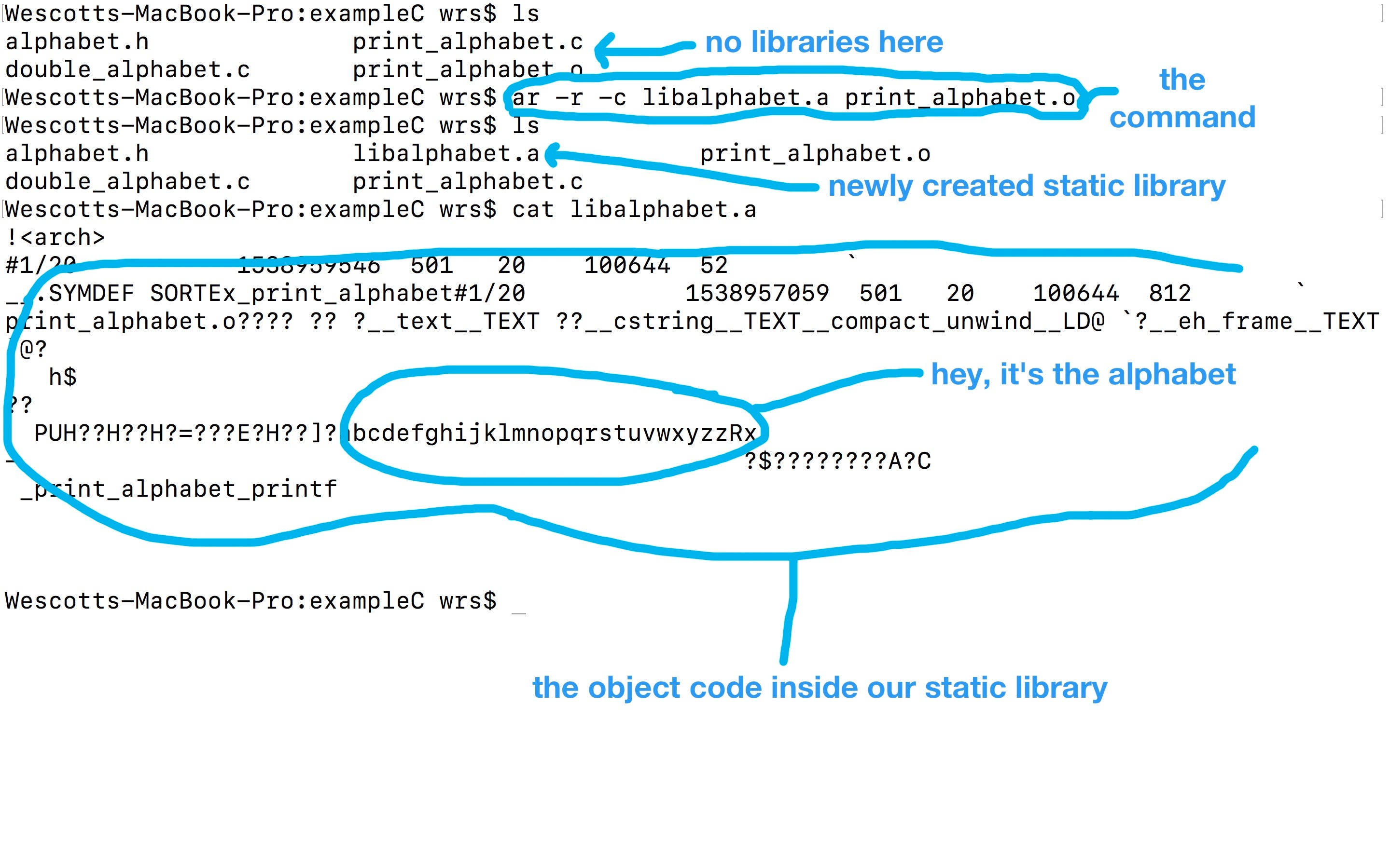 Static vs. Dynamic Libraries in C | by Wescott Sharples | Medium