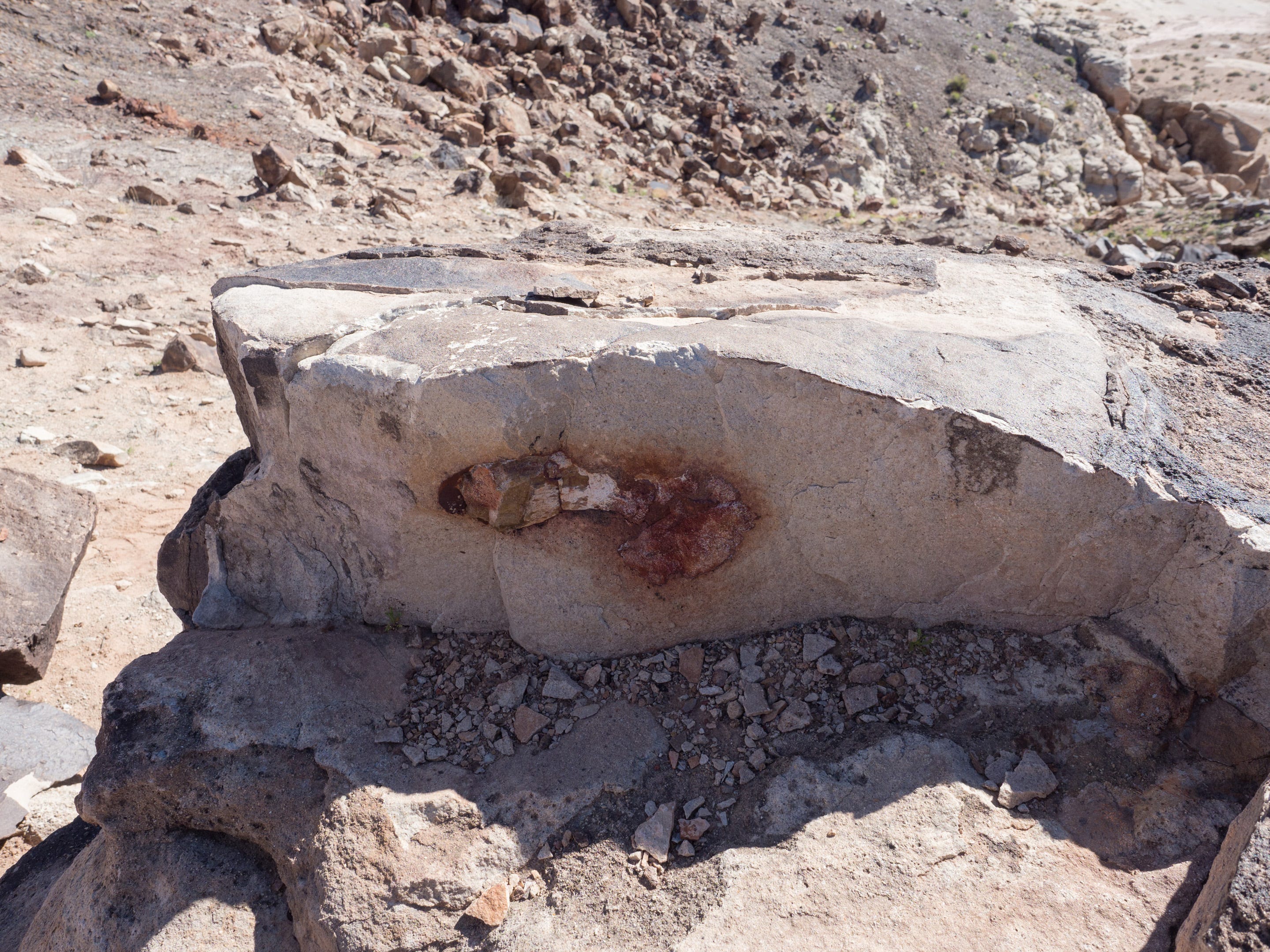 Fossils, Geysers, and Rocks, oh my. Also, driving across Utah again ...
