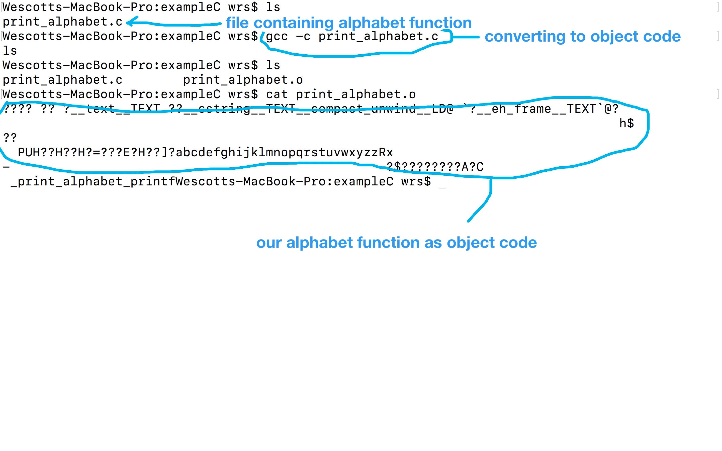 Static vs. Dynamic Libraries in C | by Wescott Sharples | Medium