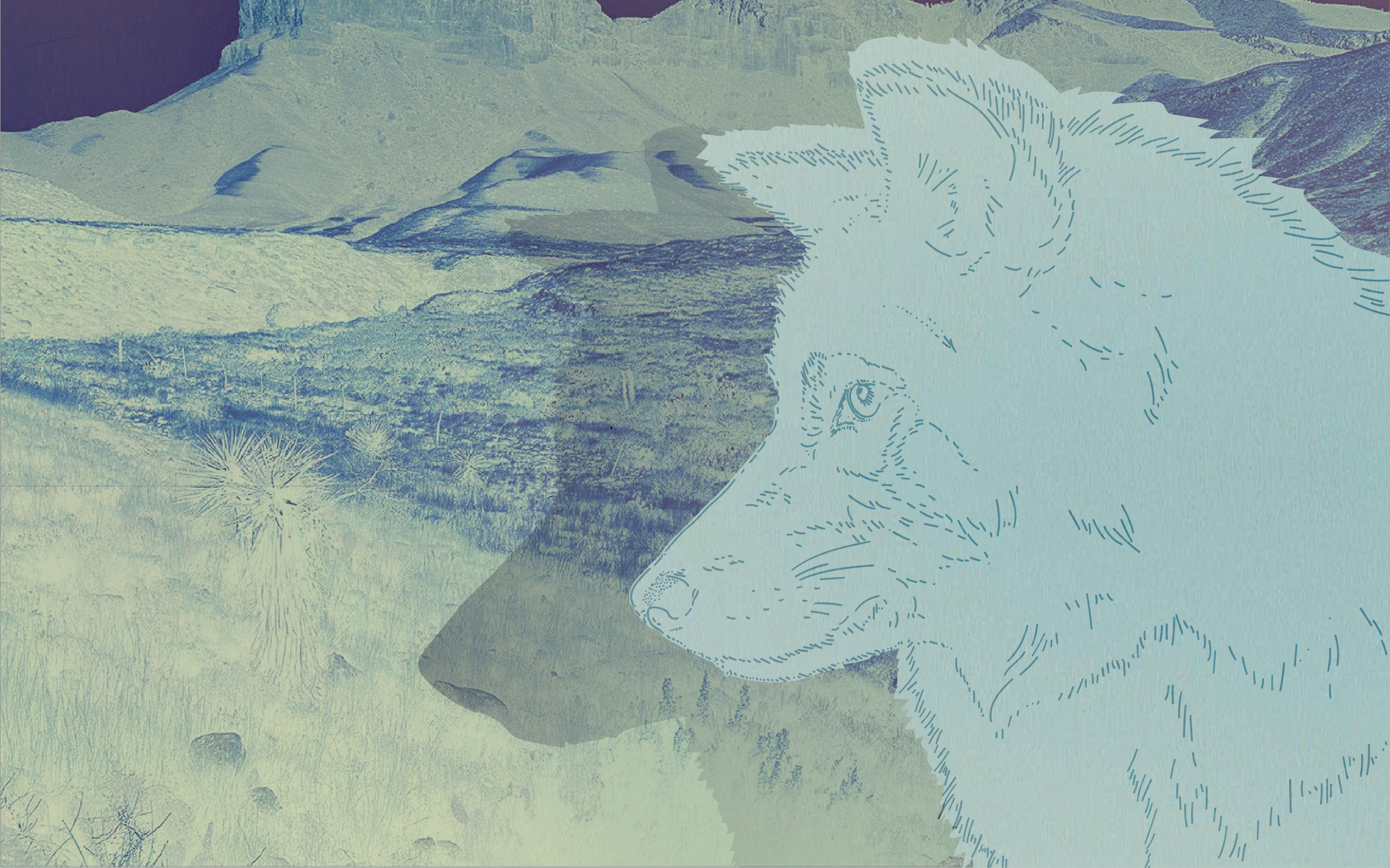 Episode One. EPISODE ONE | by Los Lobos | Medium