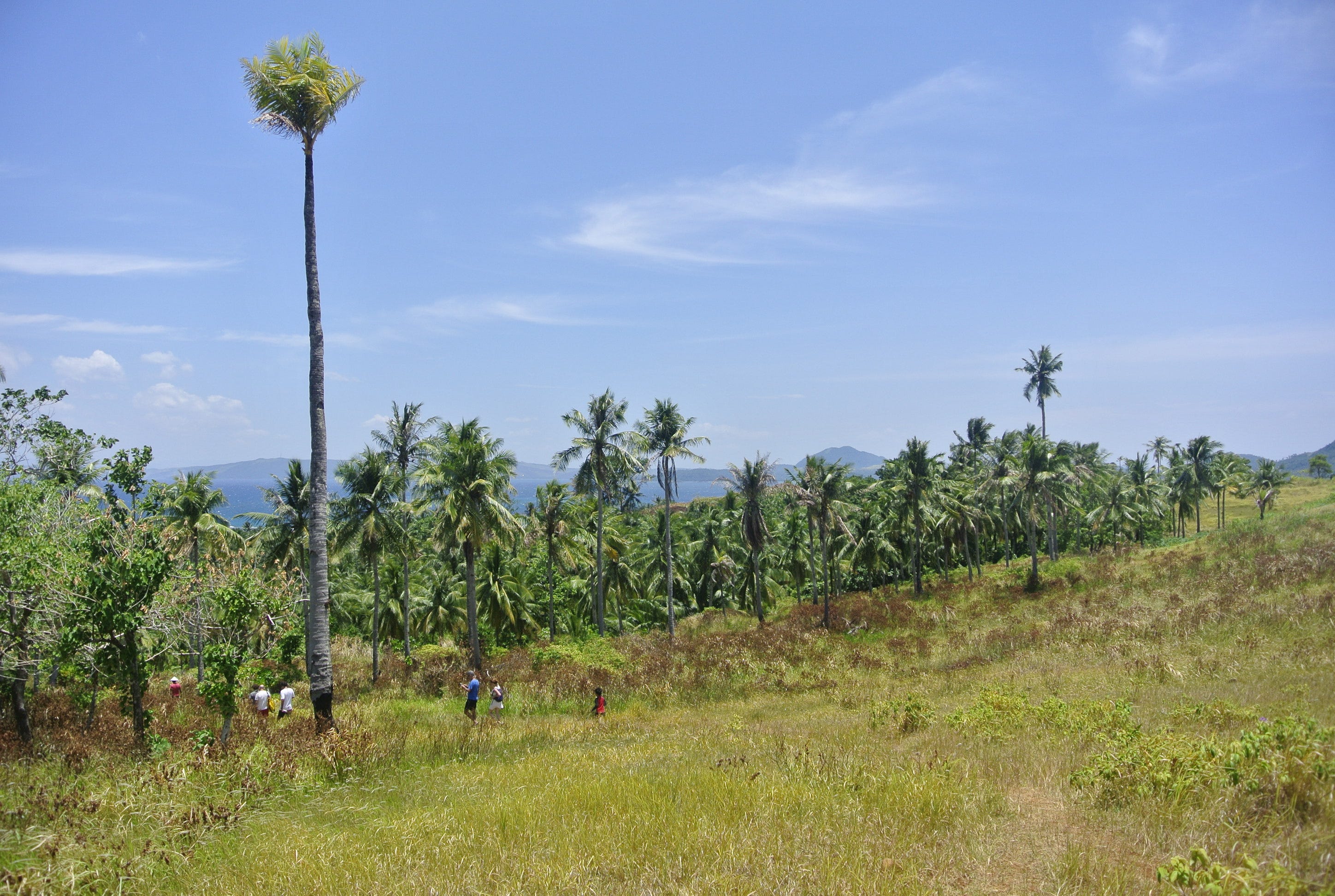 Discovered Siargao — the Surfing Capital of the Philippines | by Jenny ...