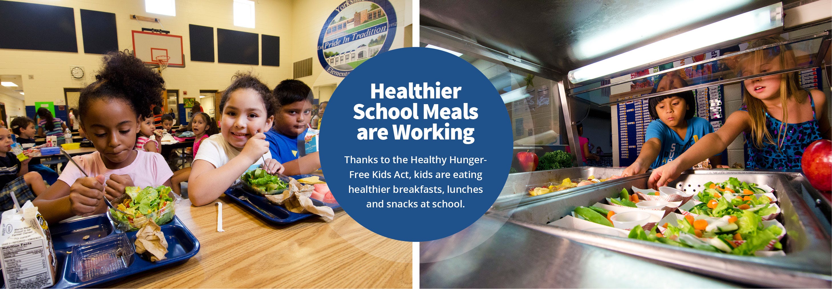 Growing a Healthier Future: Improving Nutrition and Access to Healthy ...