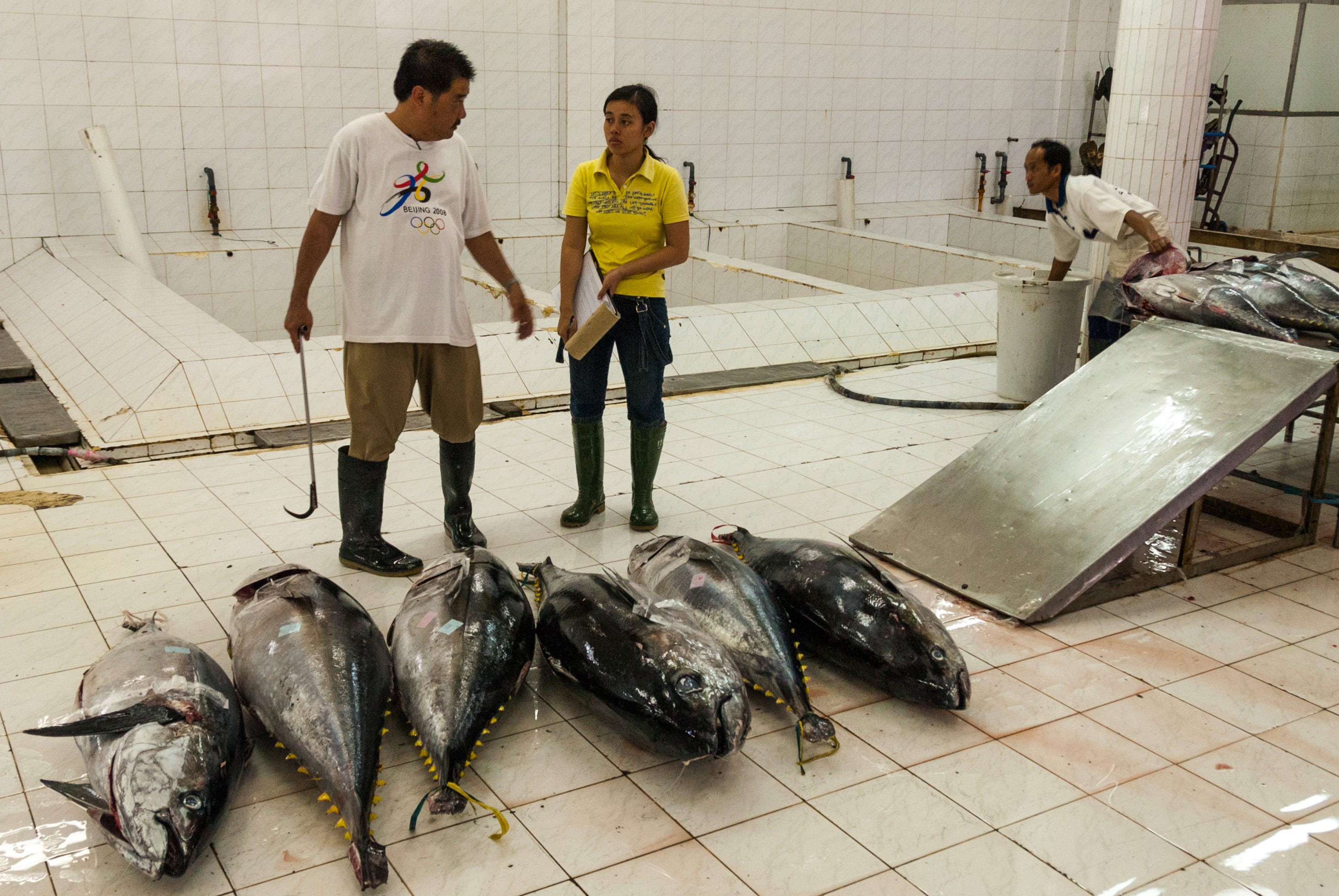 Saving Tuna & Turtles in Bali. Benoa Harbour in Bali is one of… | by ...