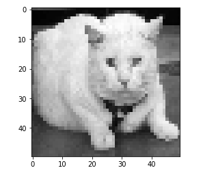 Deep Learning: Simple Image Classification using Convolutional Neural ...